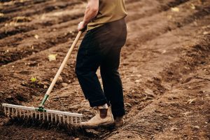 30+ Must-Have Small Farm Equipment and Tools - The Market Gardener