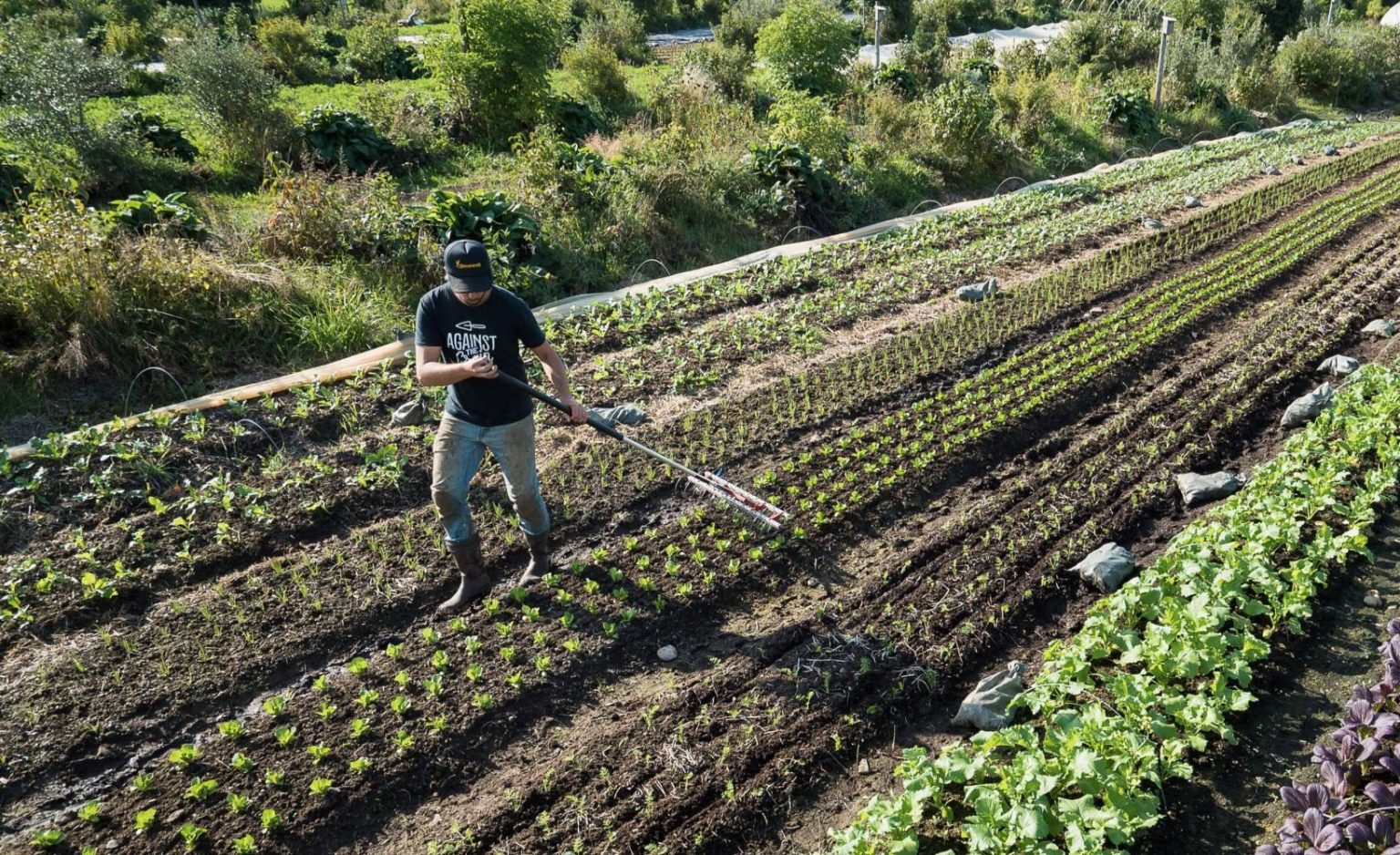 30+ Must-Have Small Farm Equipment and Tools - The Market Gardener