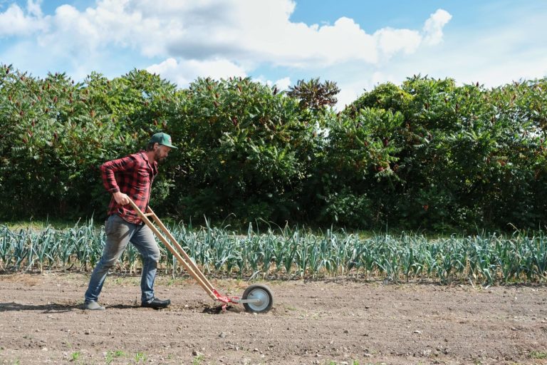 30+ Must-Have Small Farm Equipment and Tools - The Market Gardener