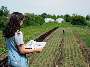 Crop Planning Course | Market Gardener Institute