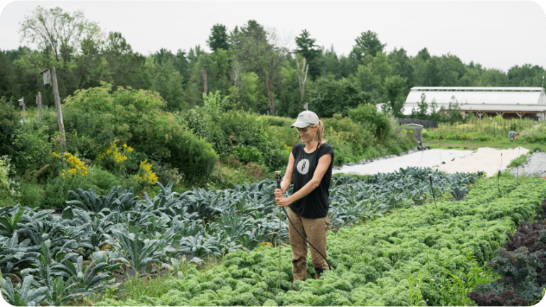 Learn Market Gardening & Organic Farming | Market Gardener Institute