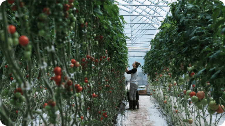 Online Farming Courses | Market Gardener Institute