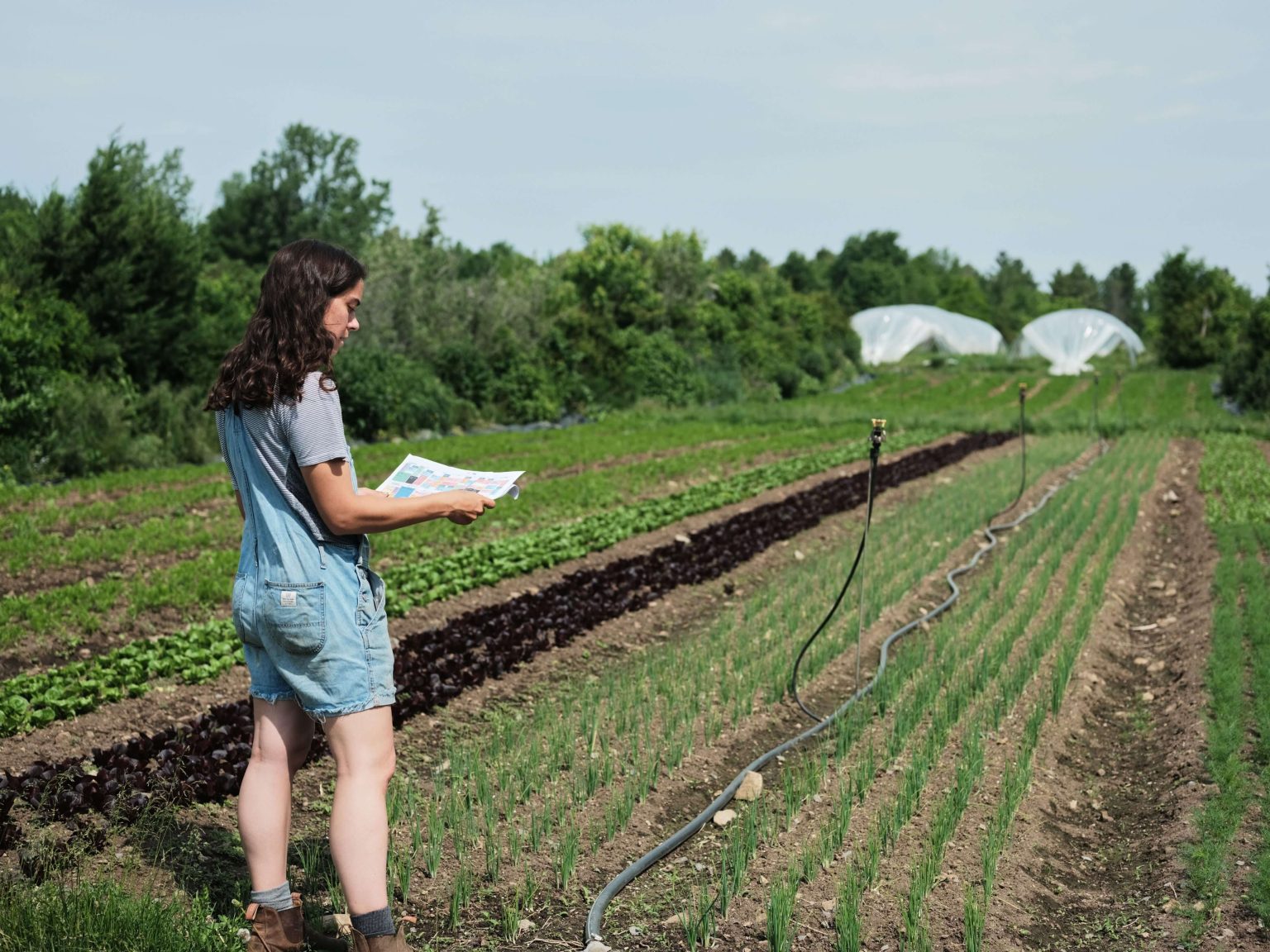 8 Most Profitable Field Crops | Online Course | Market Gardener Institute