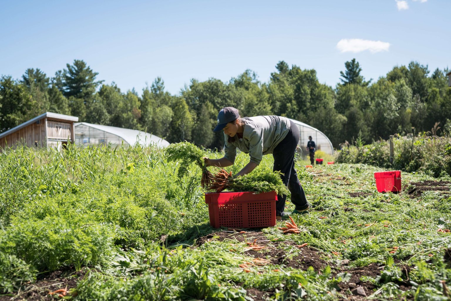 Why You Need Farm Product Diversification to Keep your Clients Invested ...