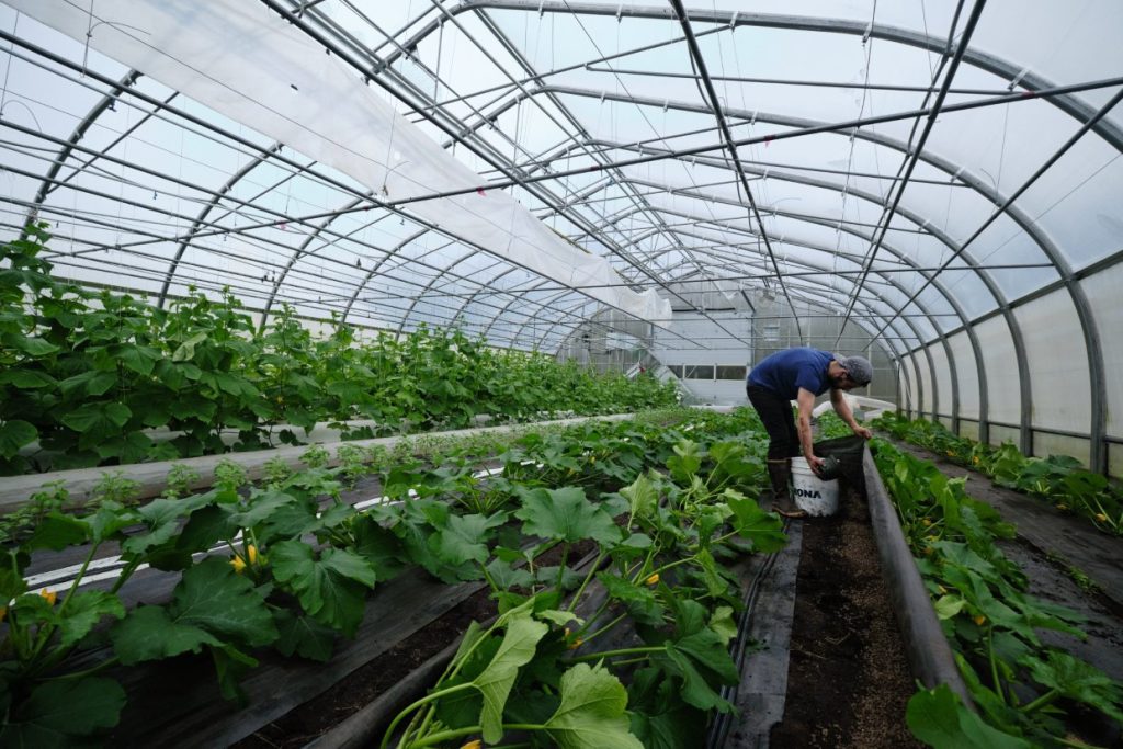 Greenhouse Farming Course Online - Market Gardener Institute