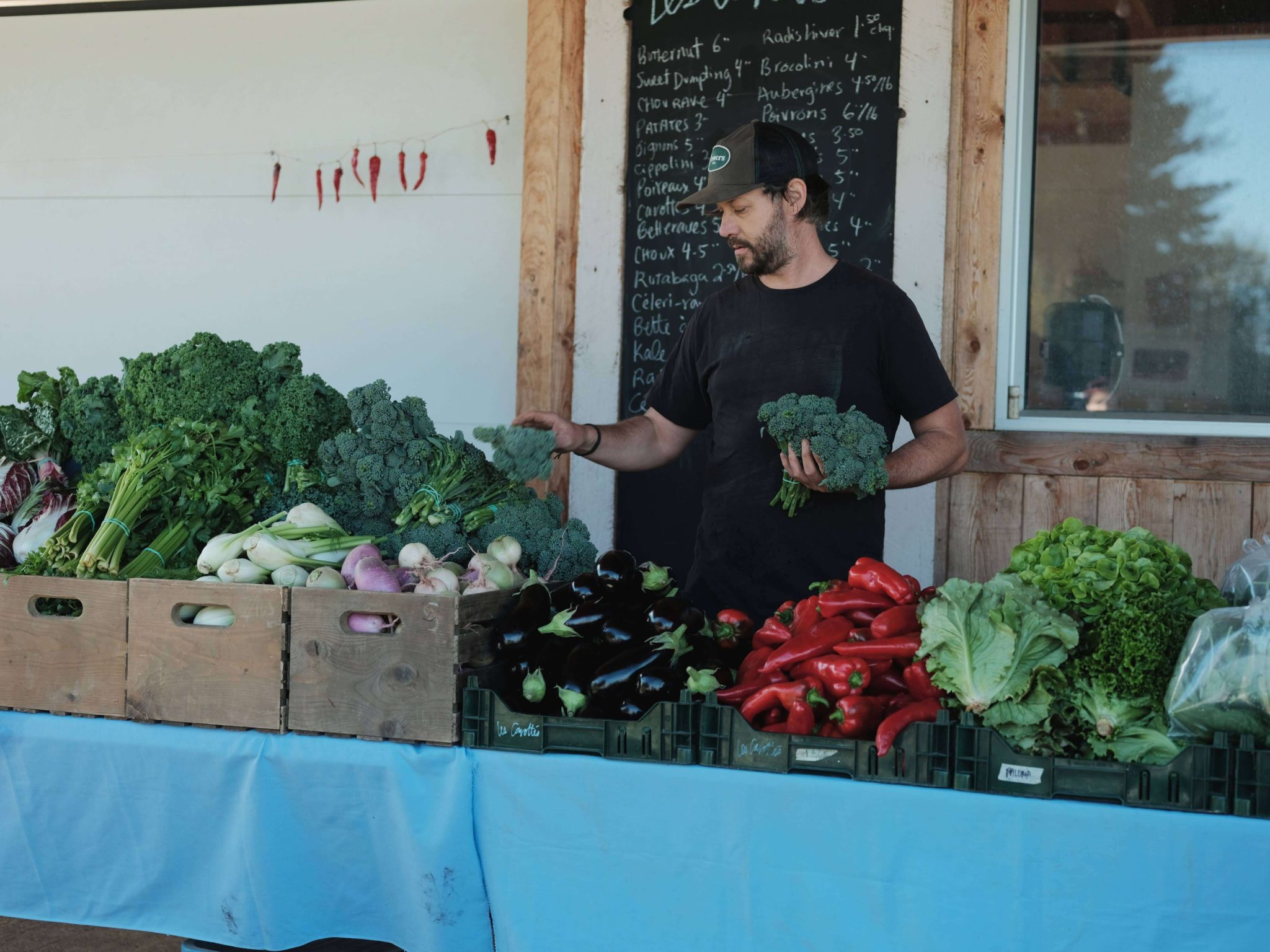 Farming for Beginners | Online Courses | Market Gardener Institute