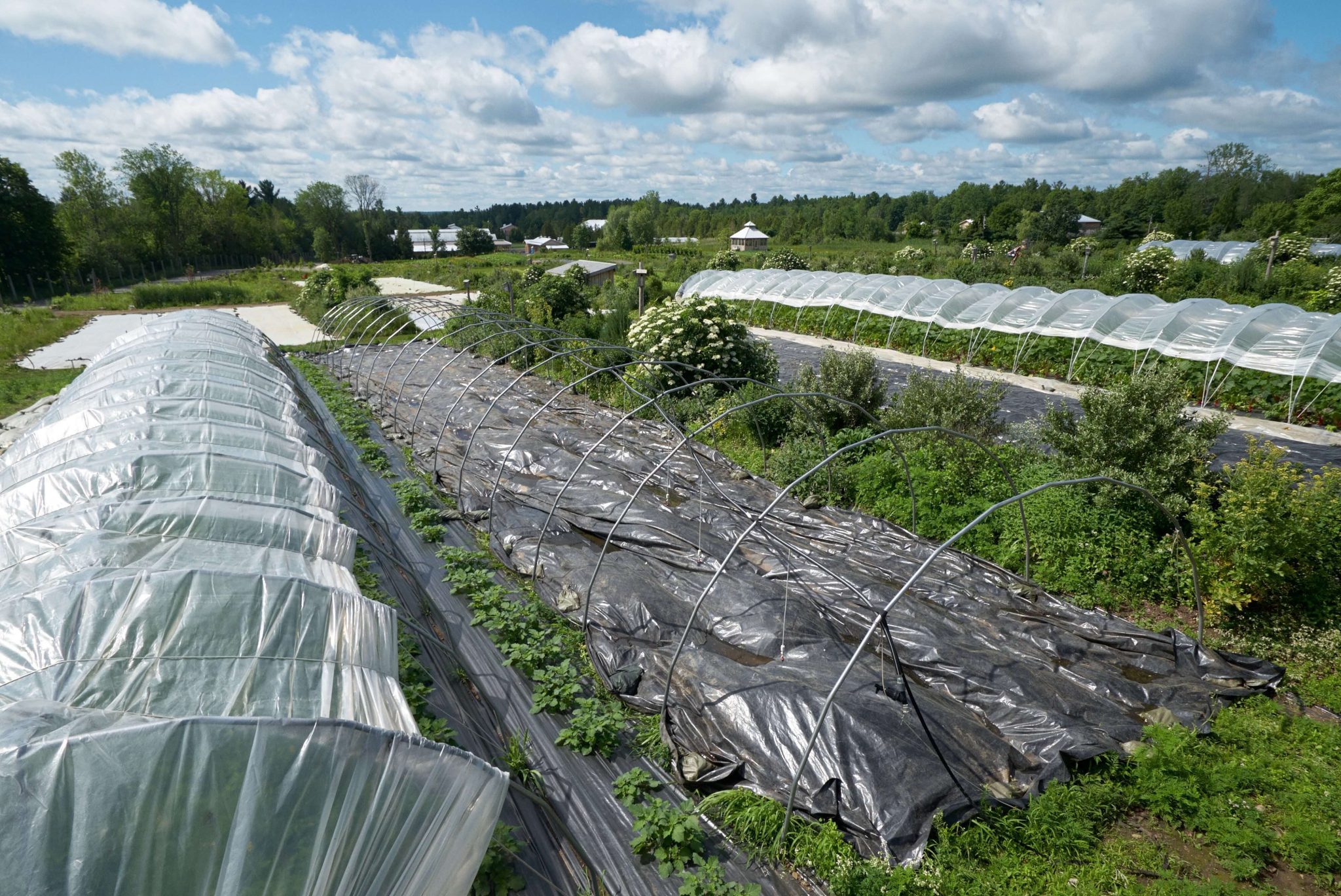 Season Extension & Winter Farming Strategies | Online Course