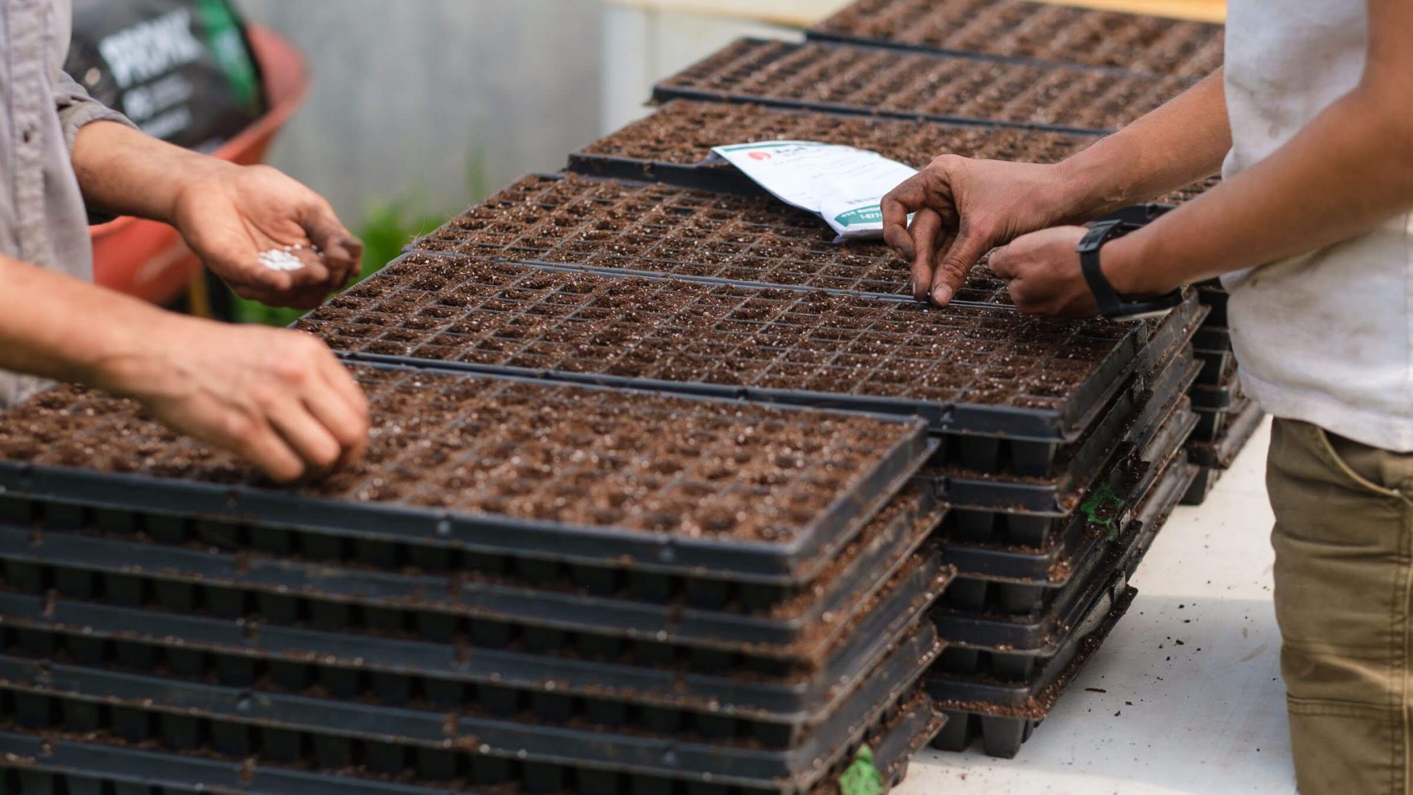 Farming for Beginners | Online Courses | Market Gardener Institute