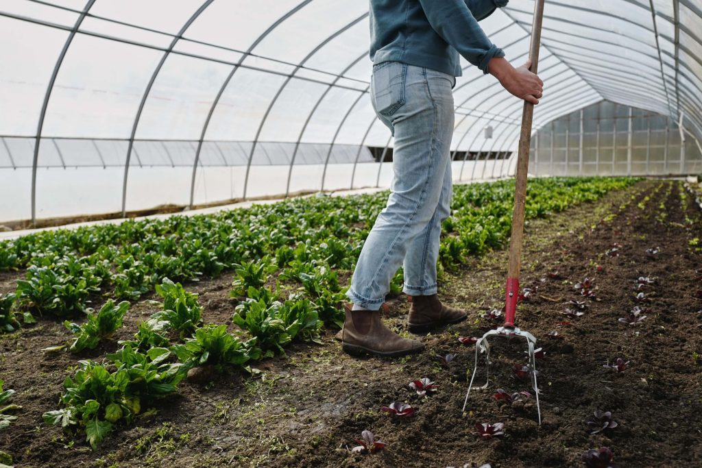 Farming for Beginners | Online Courses | Market Gardener Institute