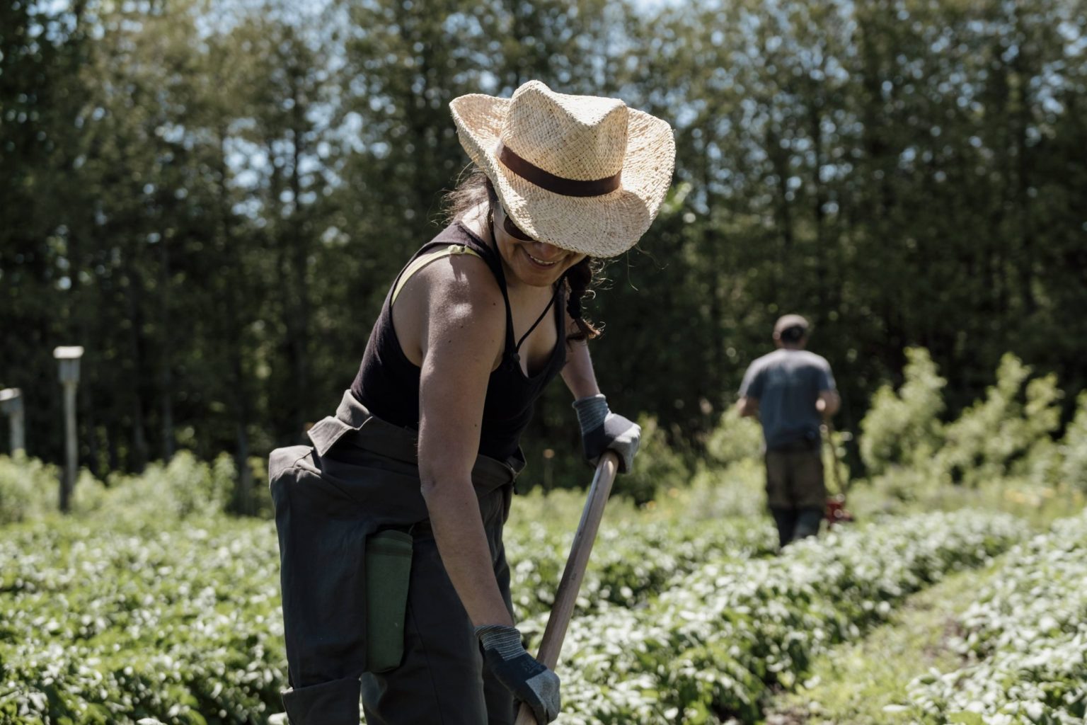 How to Choose the Best Hoe for Every Weeding Job - The Market Gardener