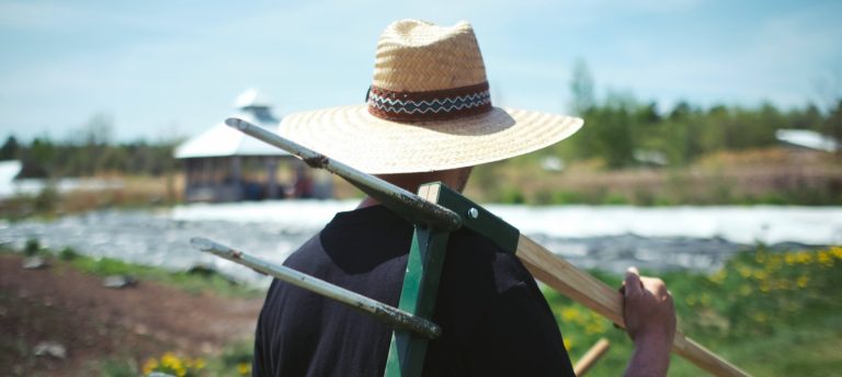 What Is a Broadfork and Why You Should Have One - The Market Gardener