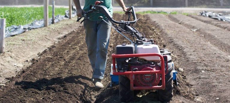 Biointensive Agriculture: How to Cultivate in Permanent Raised Beds ...