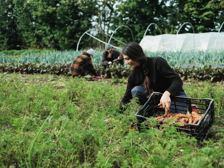 Learn Market Gardening & Organic Farming | Market Gardener Institute