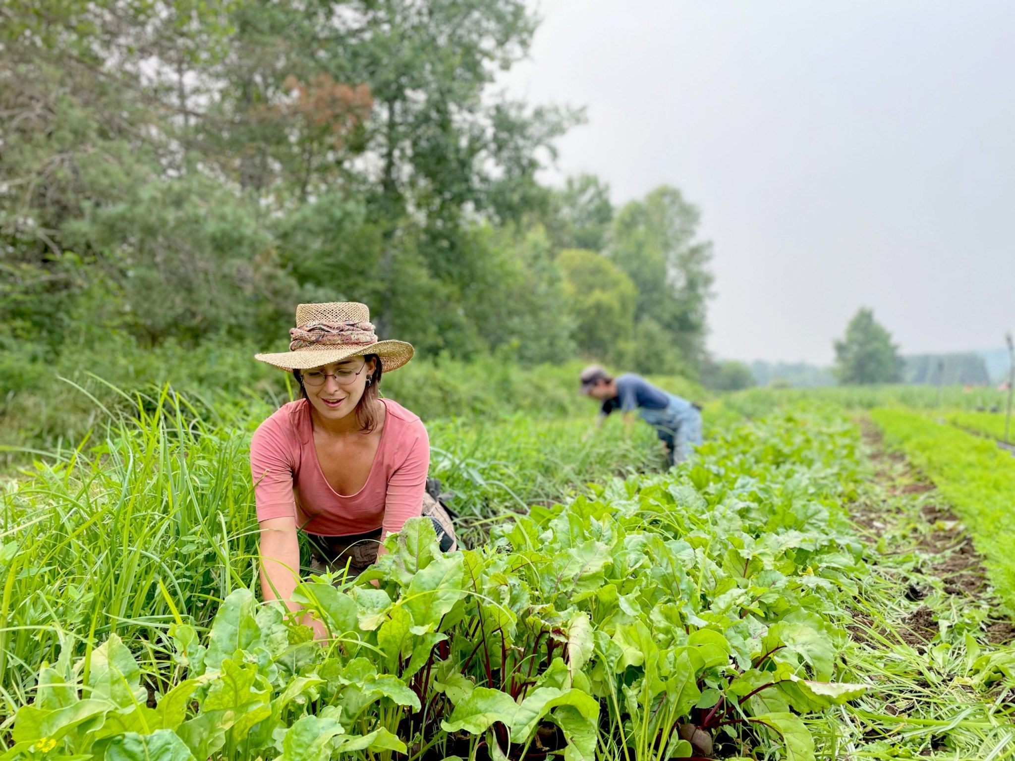 Best Land for Farming: 6 Things to Know Before You Buy - The Market ...