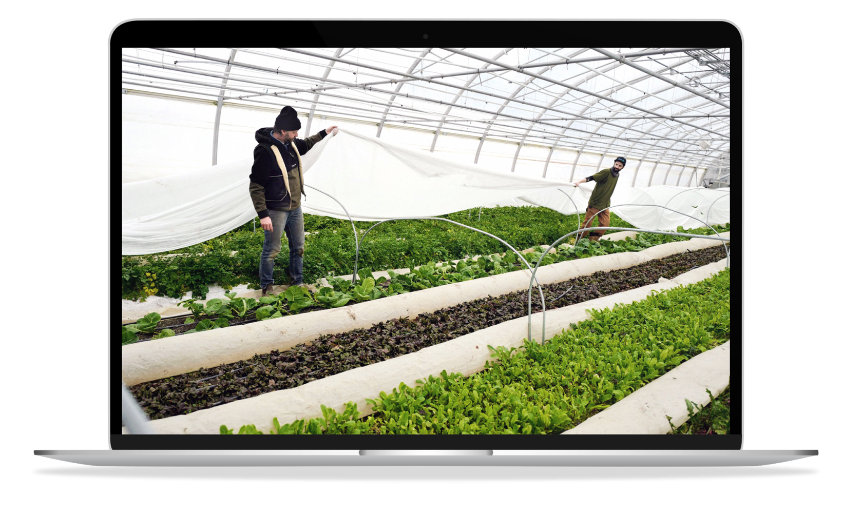 Season Extension & Winter Farming Strategies | Online Course