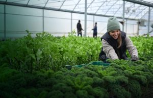 Learn Market Gardening & Organic Farming | Market Gardener Institute