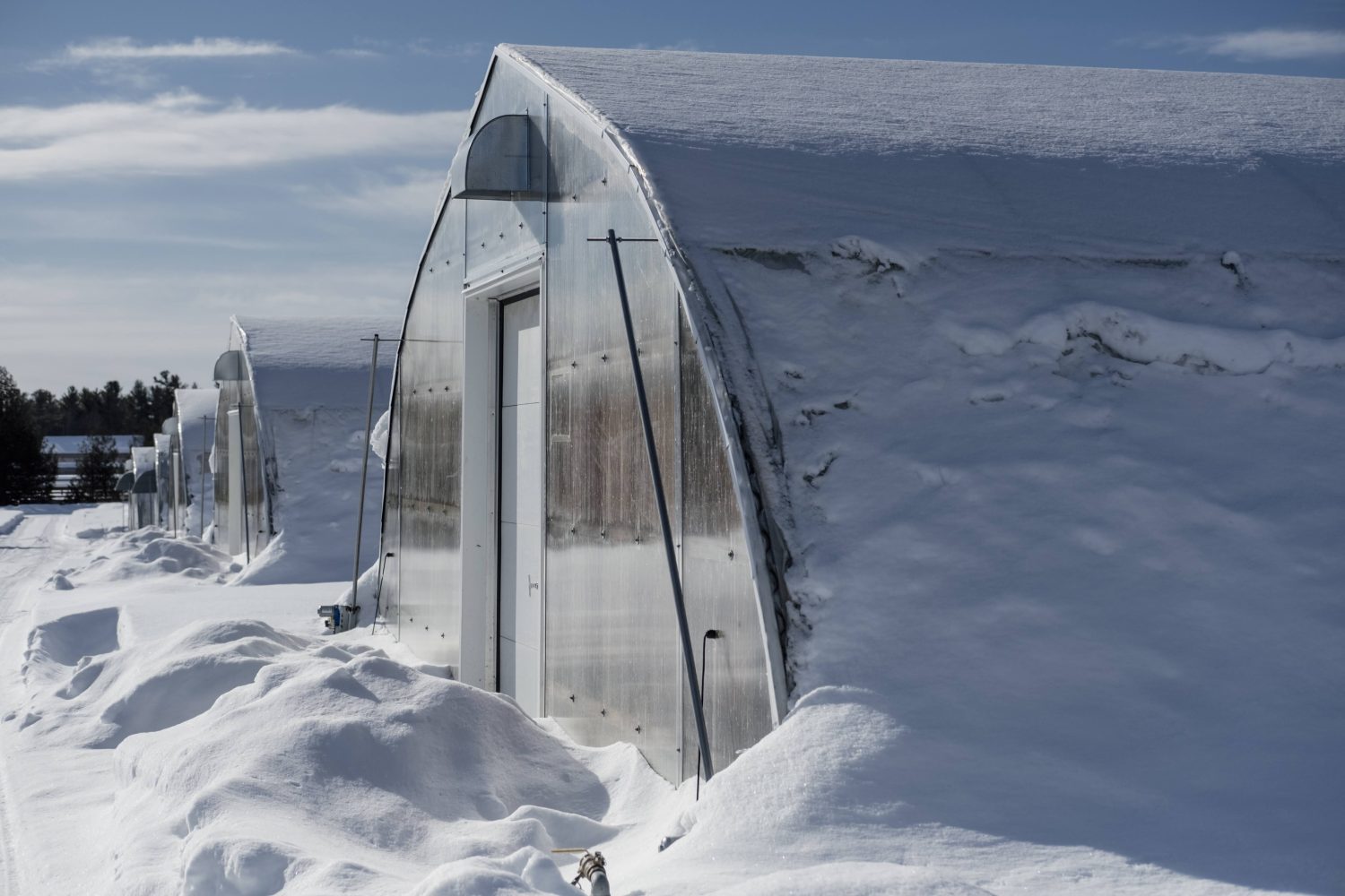 BCS Snowblower: Powerful and Versatile - The Market Gardener