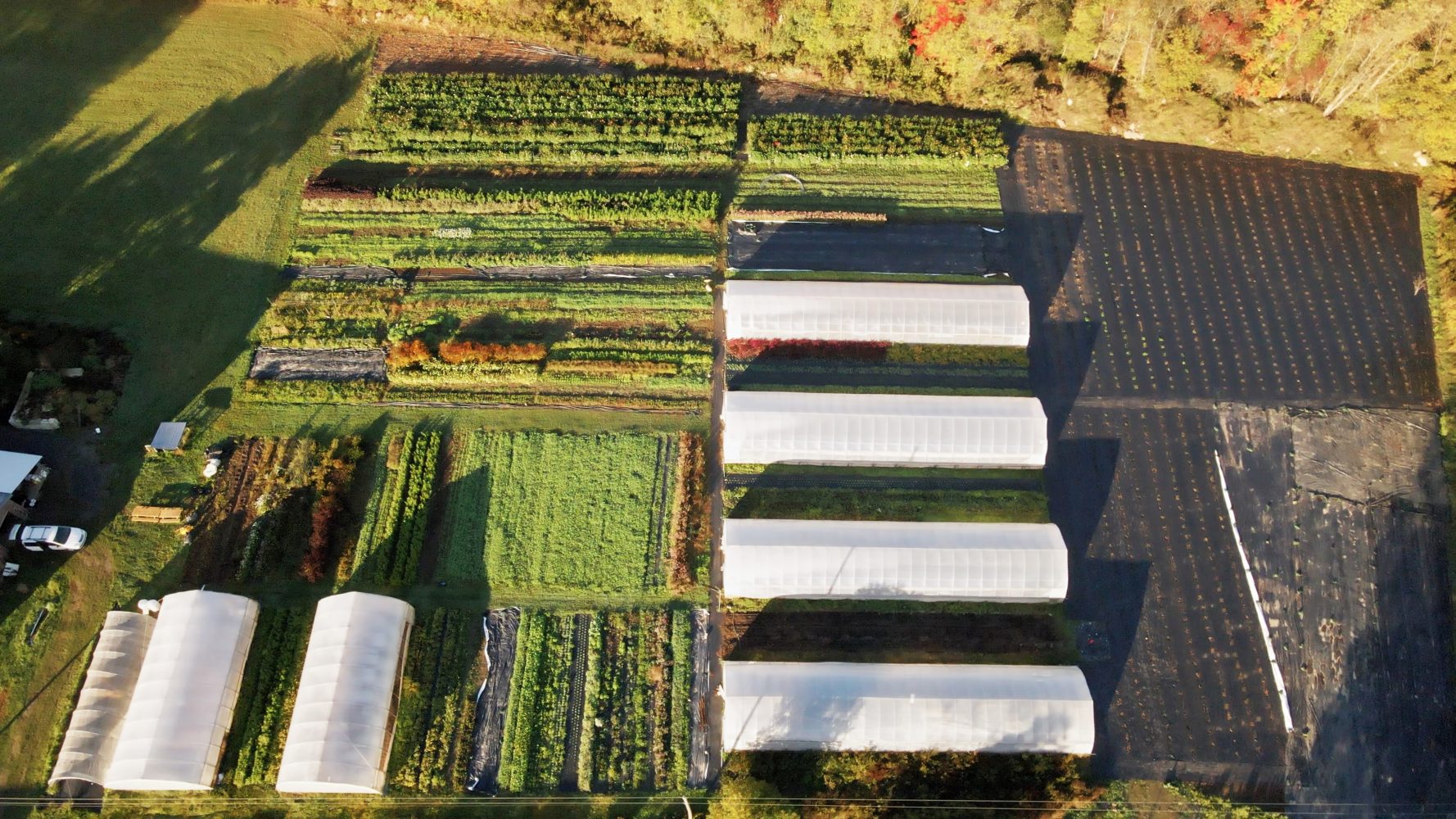 How To Manage A Flower Farm - The Market Gardener