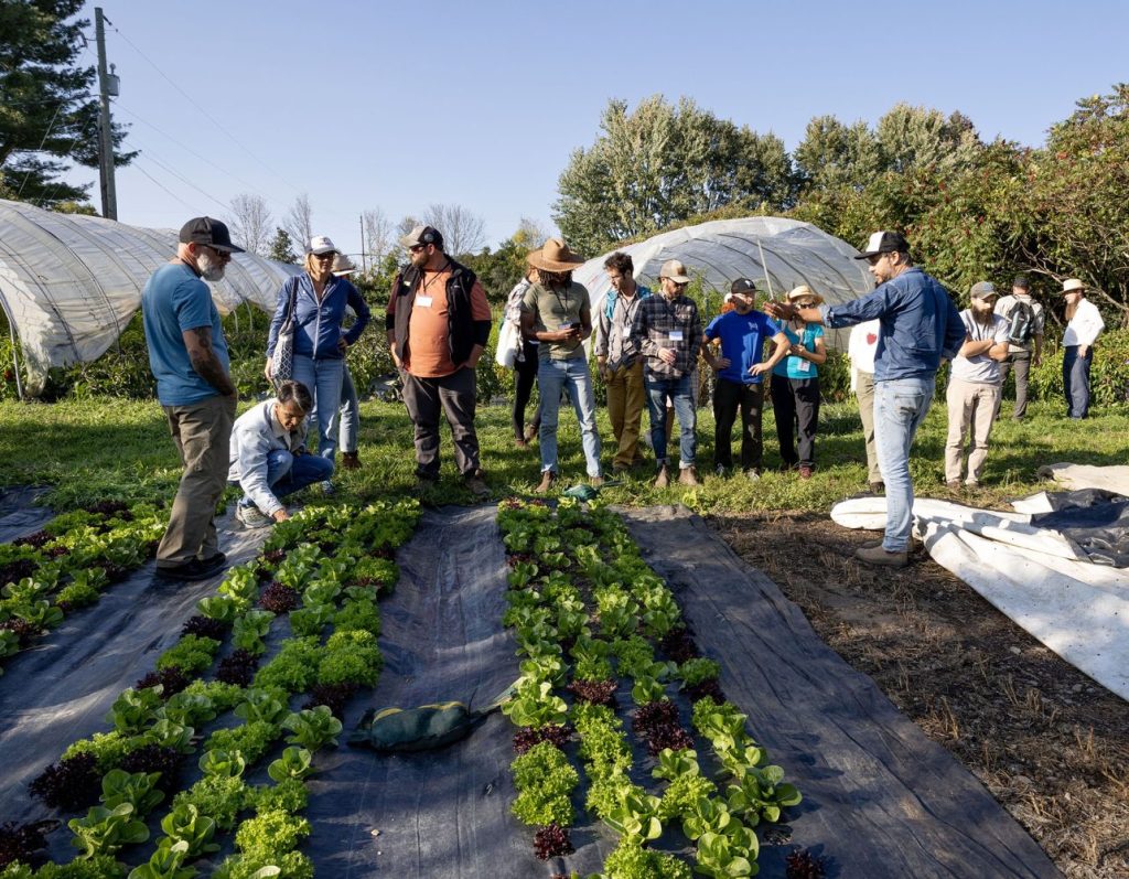 Canopy Leadership Program | Market Gardener Institute