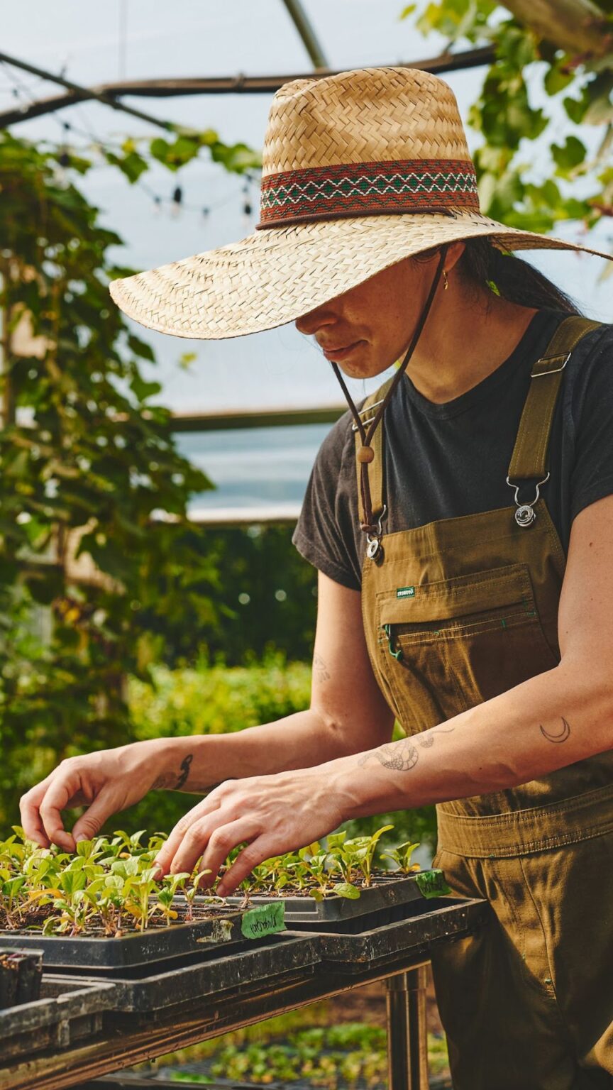 Tilther: Do You Really Need It? This Will Help You Decide! - The Market ...