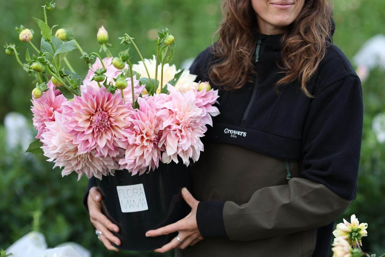 Most Prolific Dahlia Varieties to Grow on a Flower Farm - The Market ...