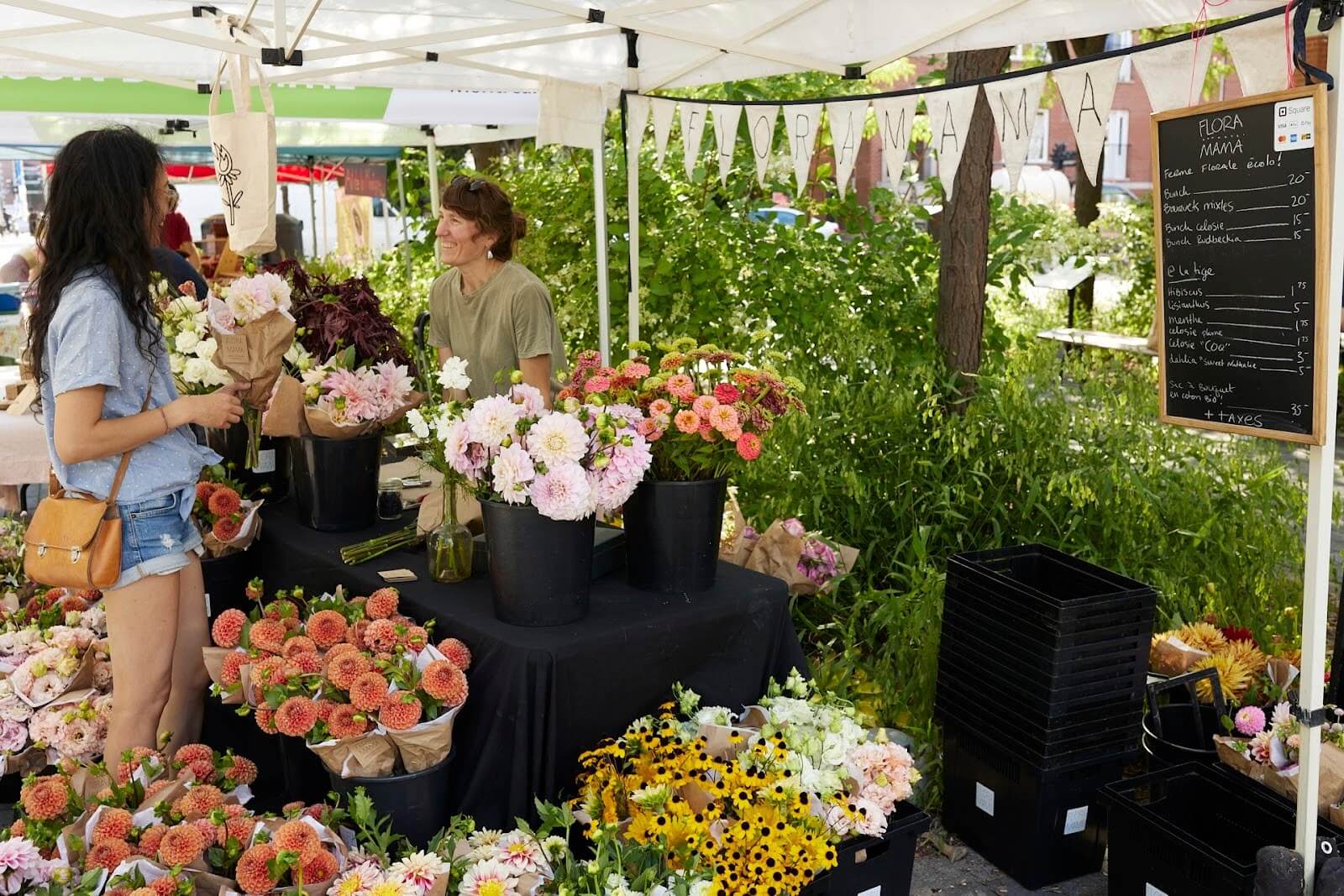 Guide: Most Profitable Flowers to Grow and Sell (2025) - The Market ...