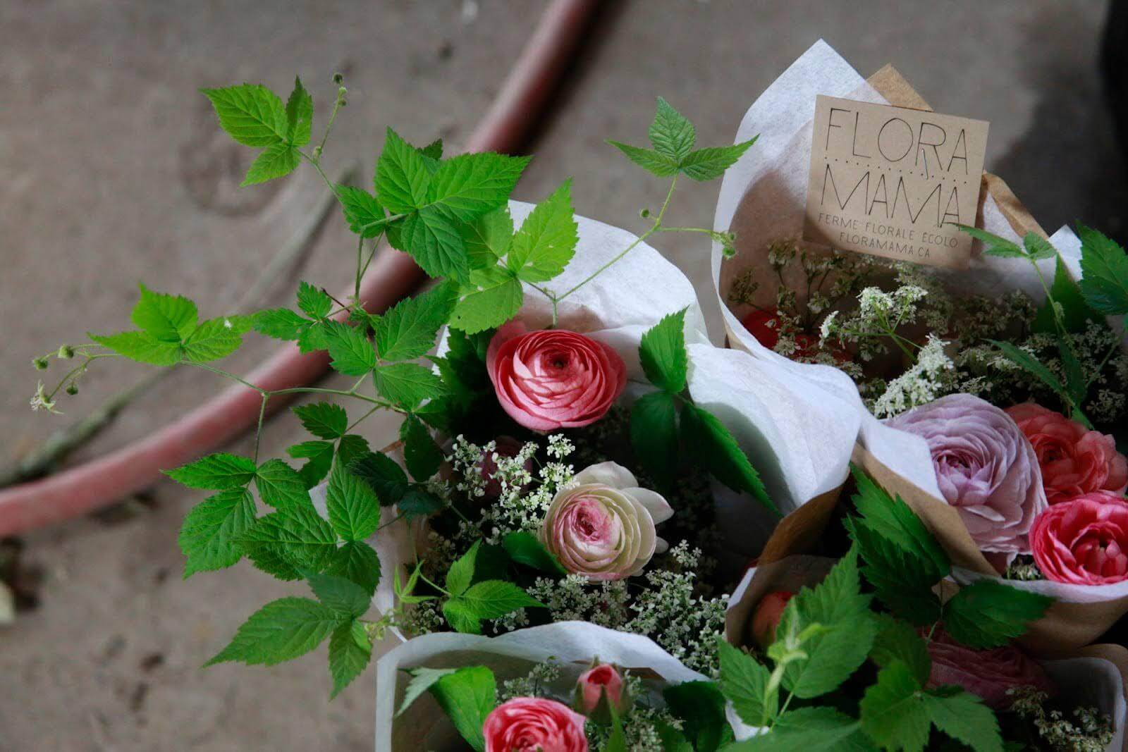 Guide: Most Profitable Flowers to Grow and Sell (2025) - The Market ...