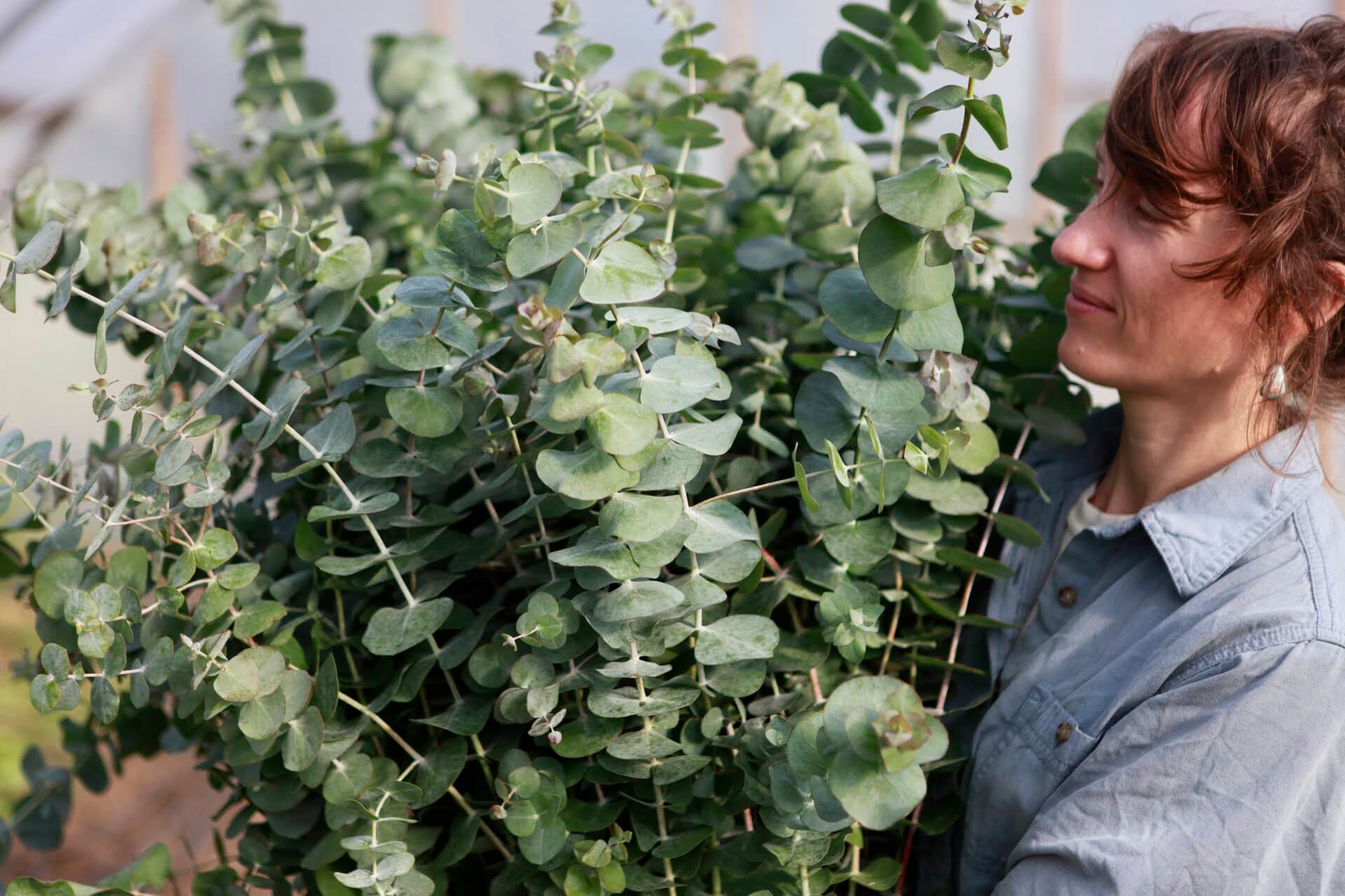 Guide: Most Profitable Flowers to Grow and Sell (2025) - The Market ...