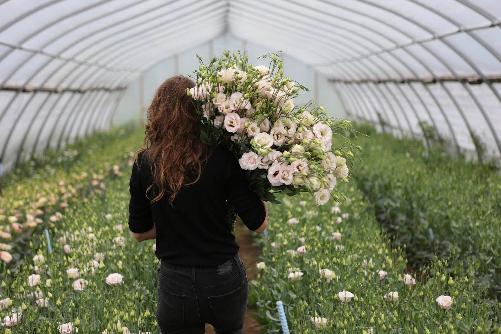 Guide: Most Profitable Flowers to Grow and Sell (2025) - The Market ...