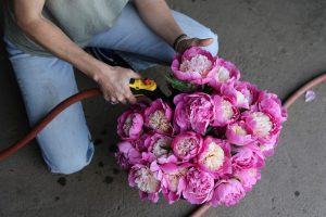 Guide: Most Profitable Flowers to Grow and Sell (2025) - The Market ...
