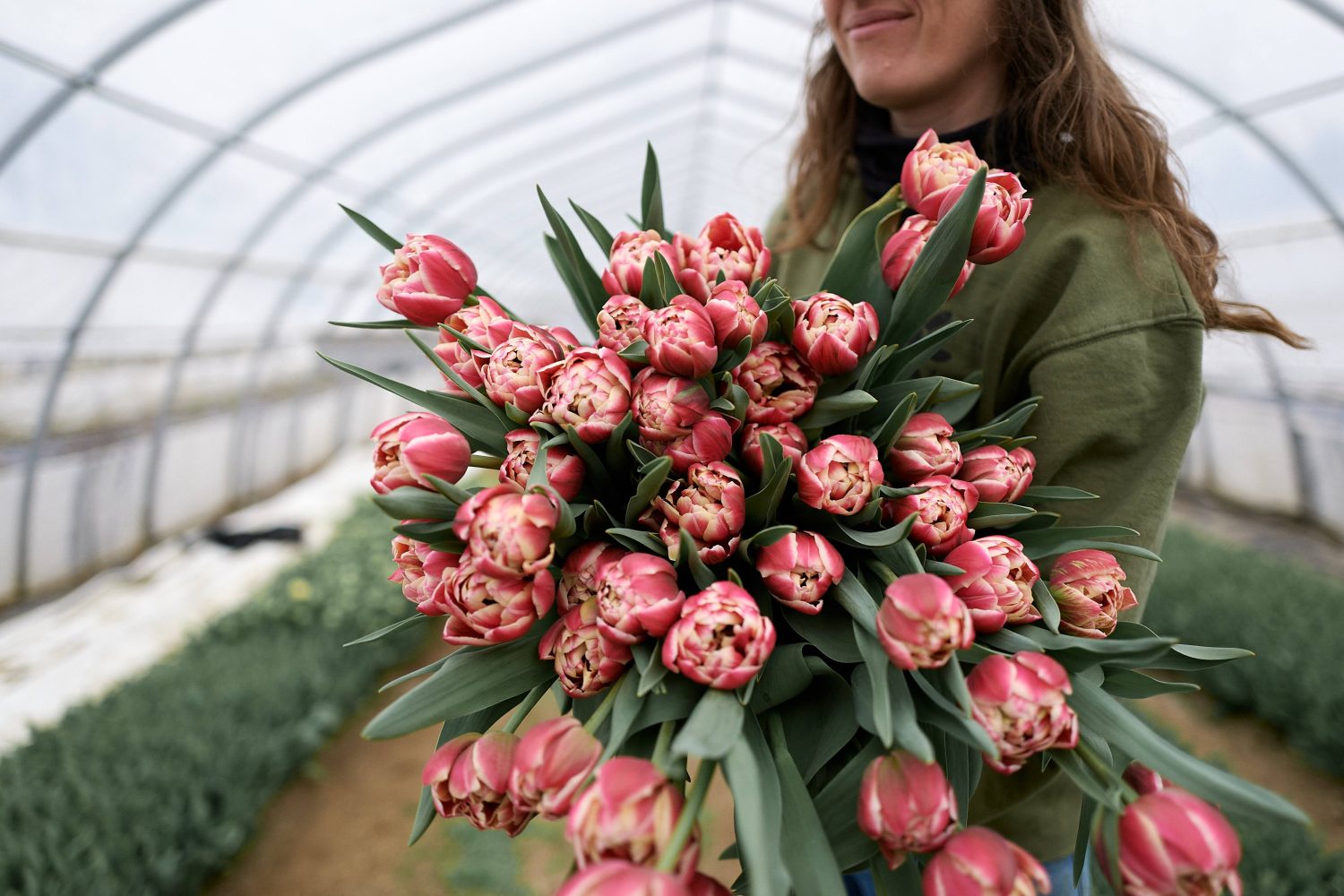 Guide: Most Profitable Flowers to Grow and Sell (2025) - The Market ...