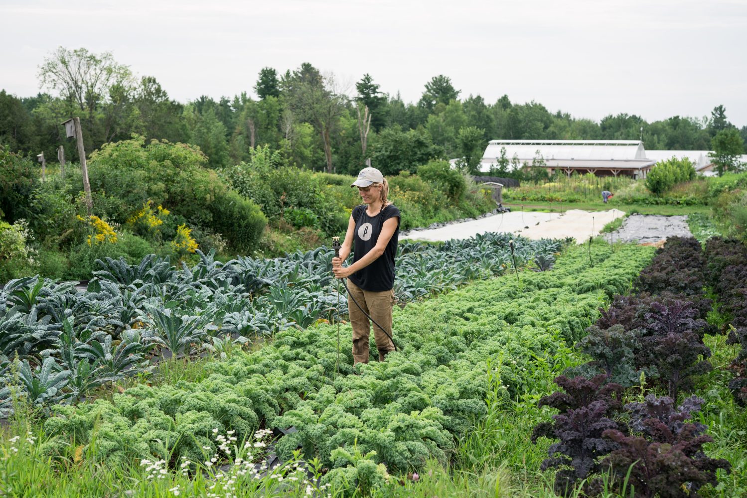 5 Good Reasons to Adopt the Biointensive Farming Method - The Market ...