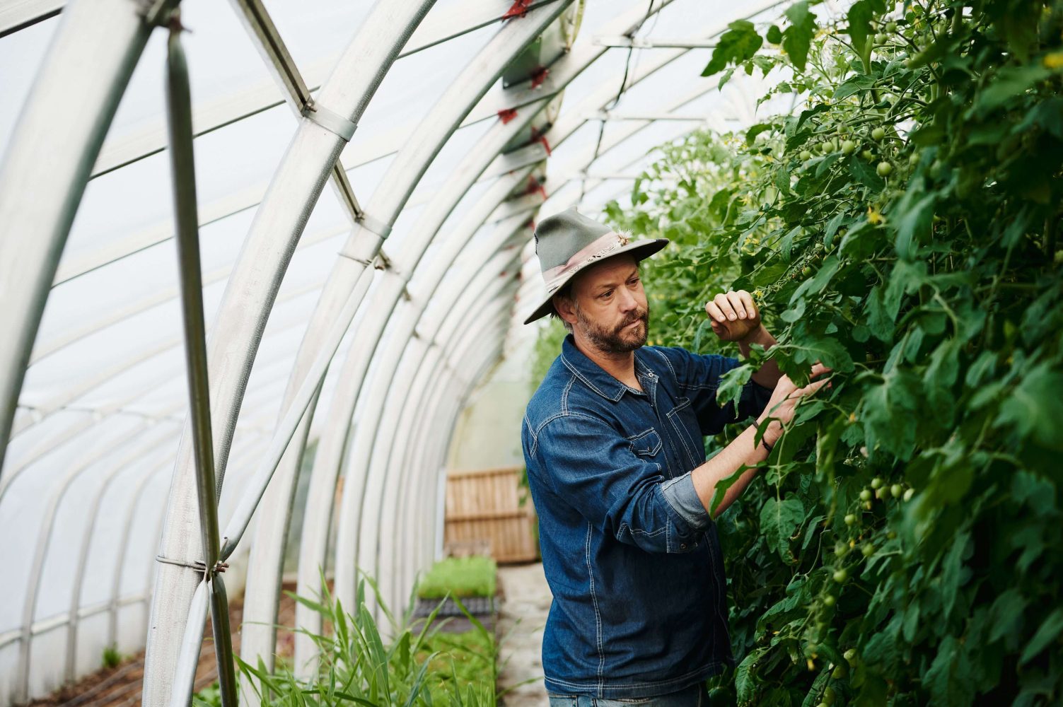 Making Greenhouse Work For You - Workshop Replay - The Market Gardener
