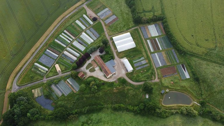 How to Start a Small Organic Farm: A Step-by-Step Guide - The Market ...