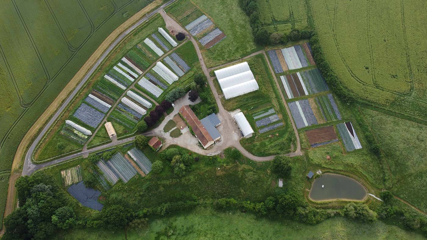 How to Start a Small Organic Farm: A Step-by-Step Guide - The Market ...
