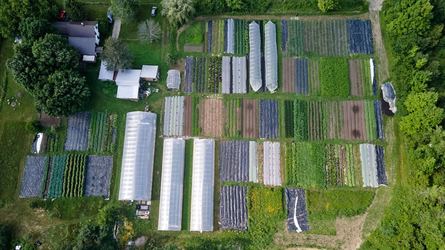 How to Start a Small Organic Farm: A Step-by-Step Guide - The Market ...