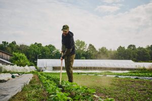 How to Start a Small Organic Farm: A Step-by-Step Guide - The Market ...