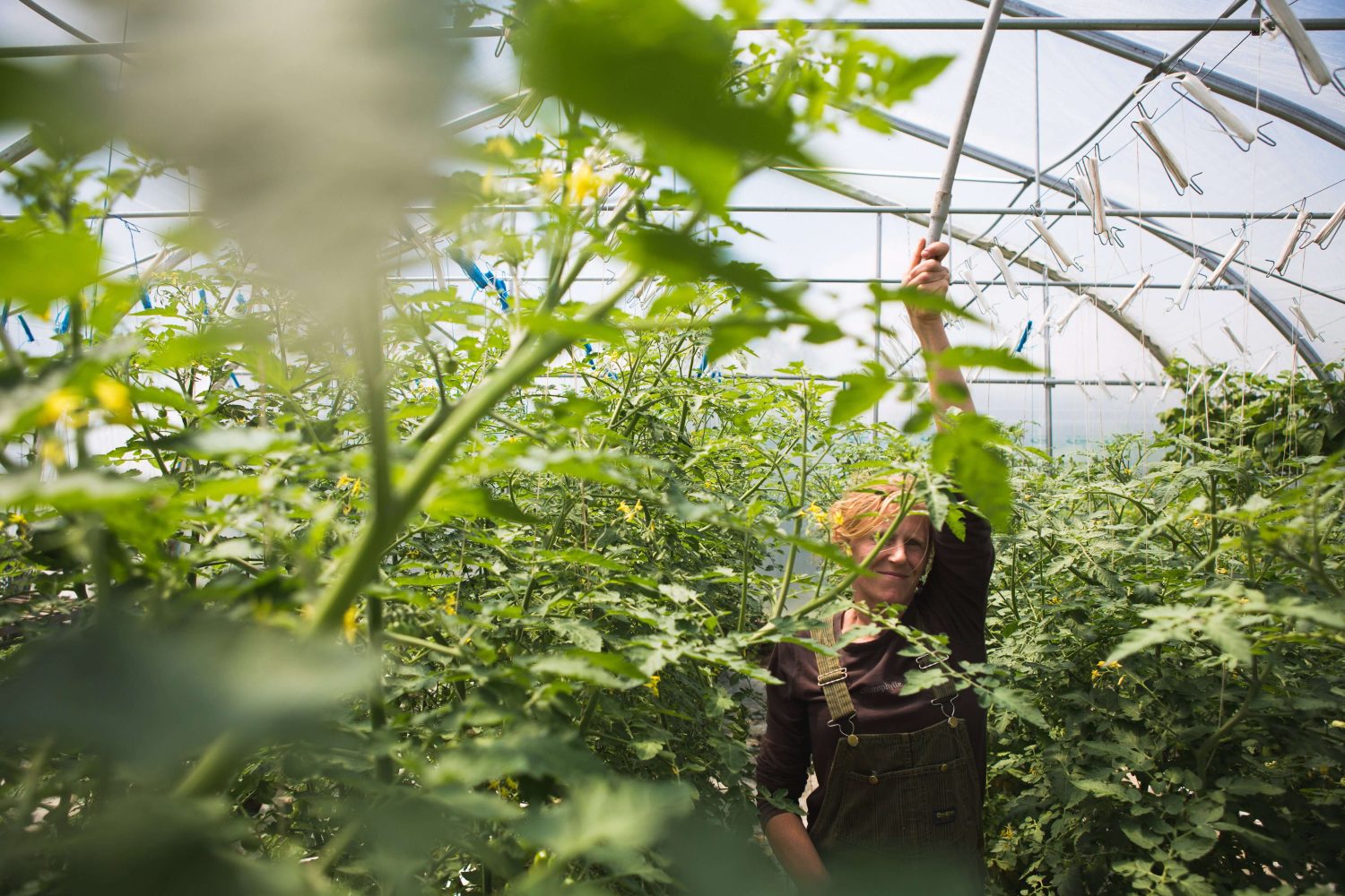 How to Start a Small Organic Farm: A Step-by-Step Guide - The Market ...