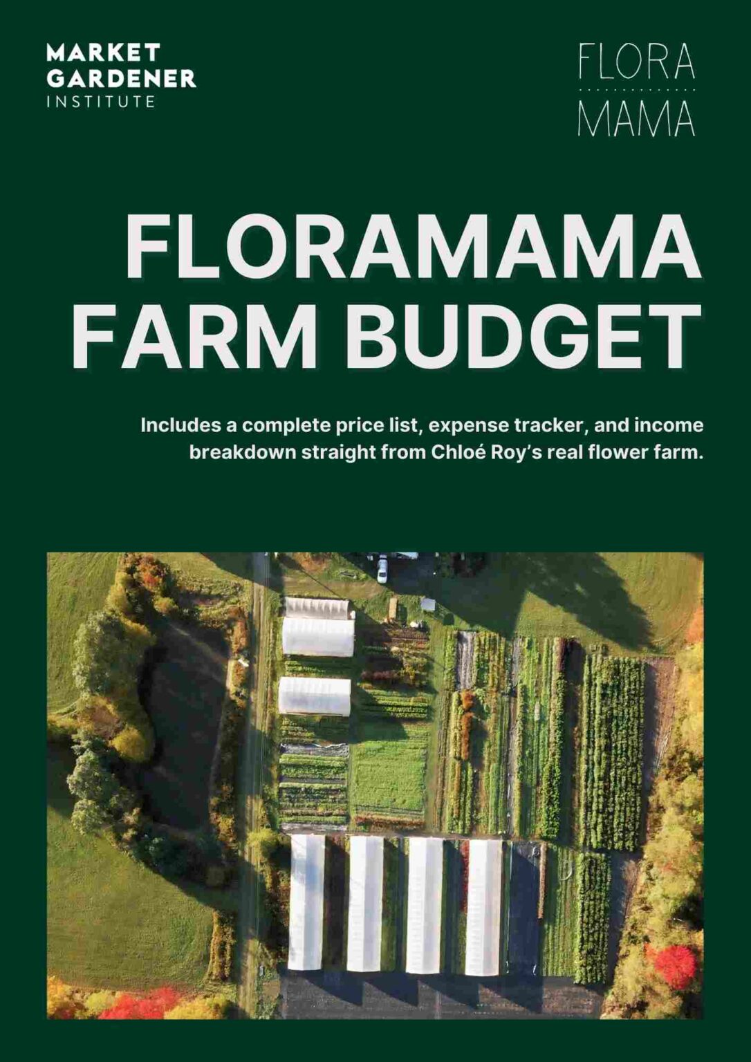 Guide: Most Profitable Flowers to Grow and Sell (2025) - The Market ...