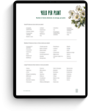 Guide: Most Profitable Flowers to Grow and Sell (2025) - The Market ...